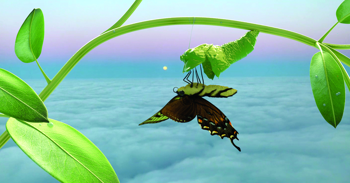 Life on Earth | Just Peace