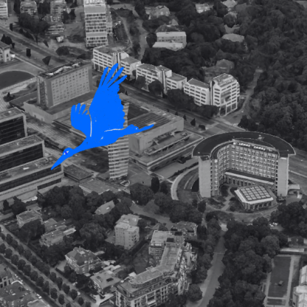 From Words to Action: How The Hague Became the City of Peace and ...